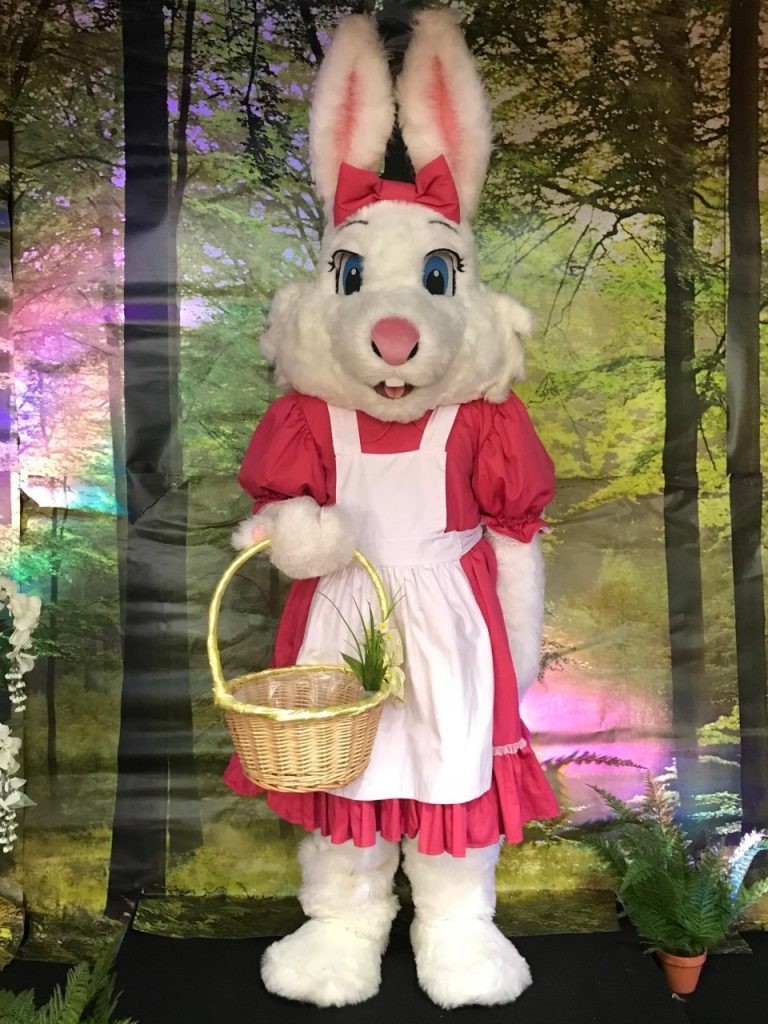 Mascot Characters For Hire | Book Characters For Events | Hire Mascots
