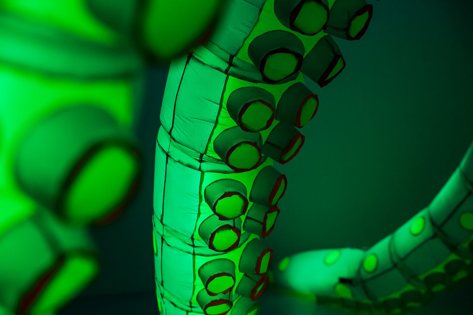 Giant Octopus For Hire | Book Inflatable Octopus | Entertainment Hire