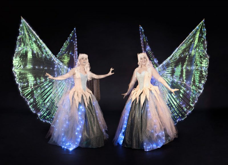 Ice Fairy For Hire | Book Winter Wonderland Entertainment | Christmas ...